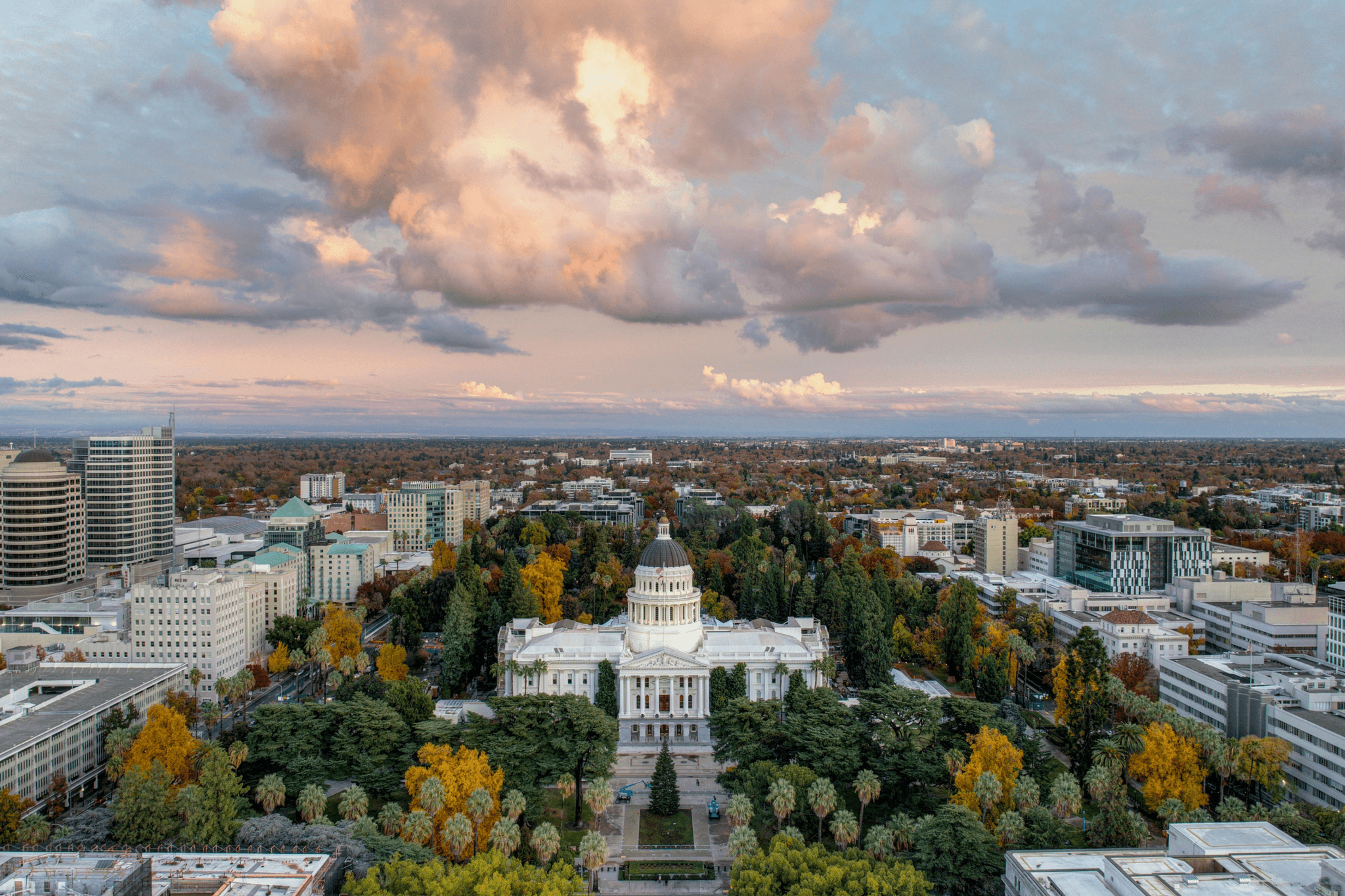 How SAF mandates in the EU and UK are reshaping aviation fuel markets ...