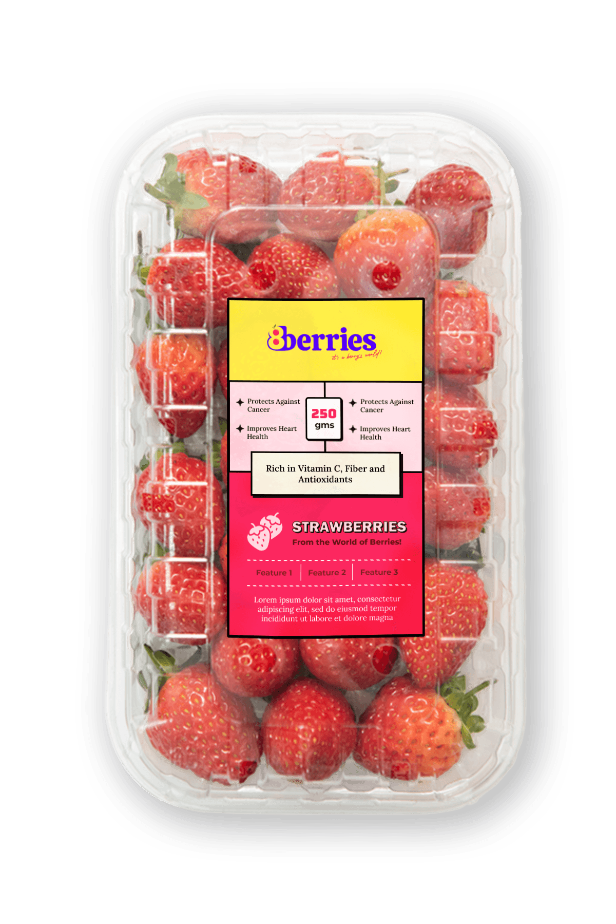 8 Berries - The World of Berries