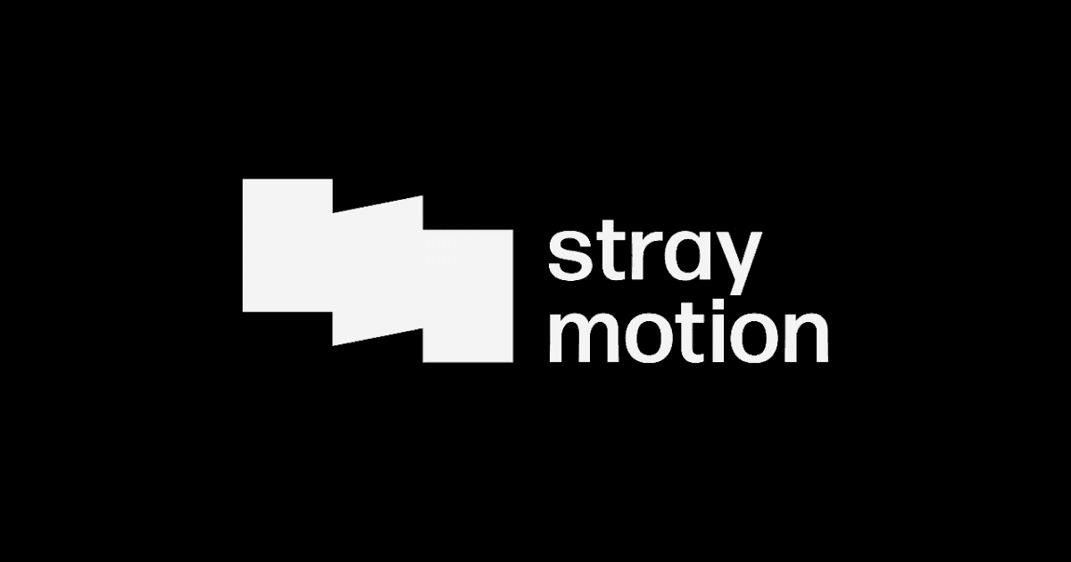 About — Stray Motion