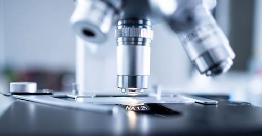 Yeast Display Antibody Screening: A Complete Workflow Guide — And Why ...