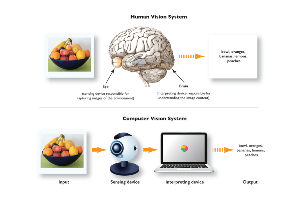 What Is Computer Vision? [Basic Tasks & Techniques]