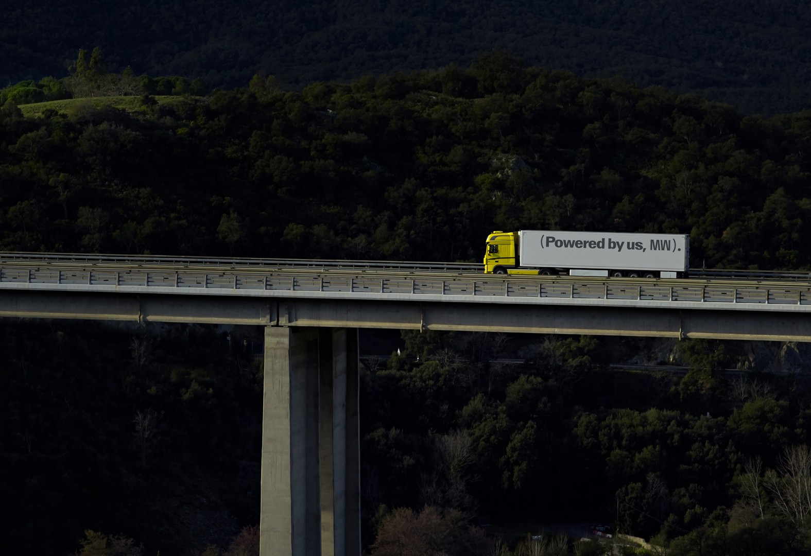 Morrow, design by Bleed