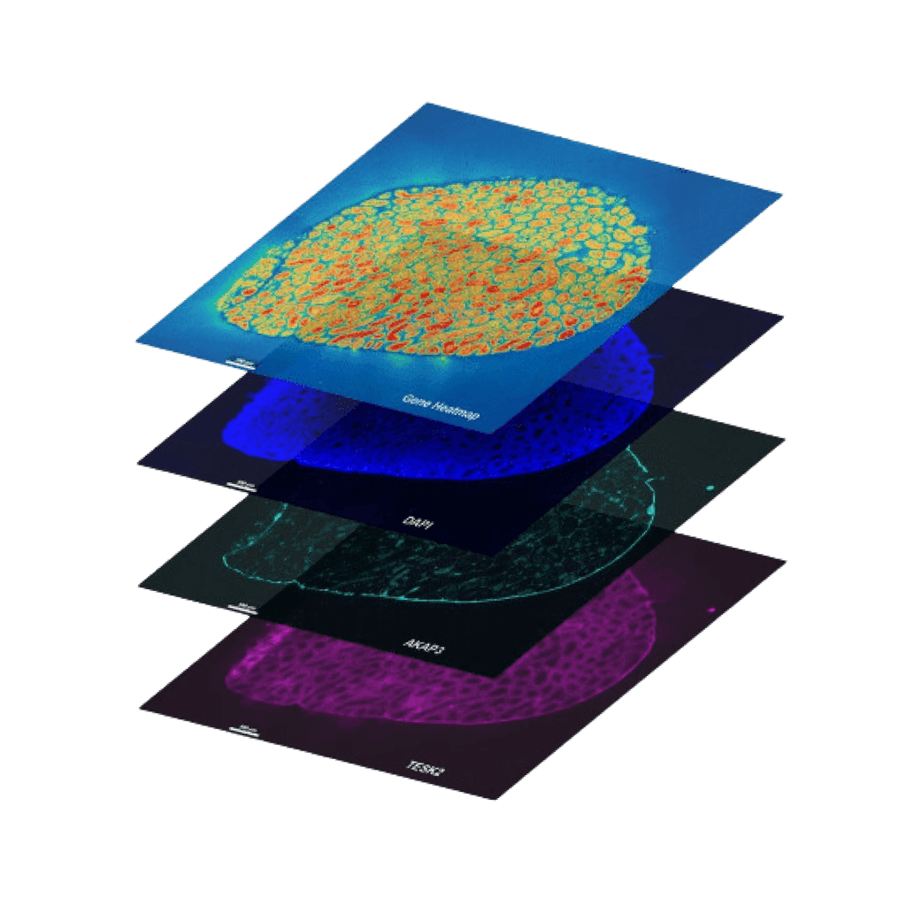 MGI-tech | Leading Life Science Innovation