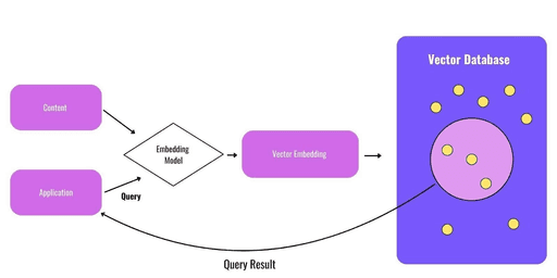 Vector Database vs Knowledge Graph: Best AI Search Tool
