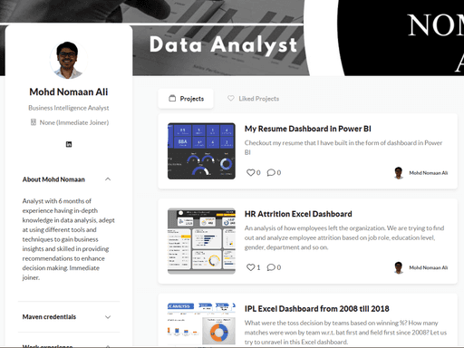 Analysts You Can Hire: Summer 2024 | Maven Analytics