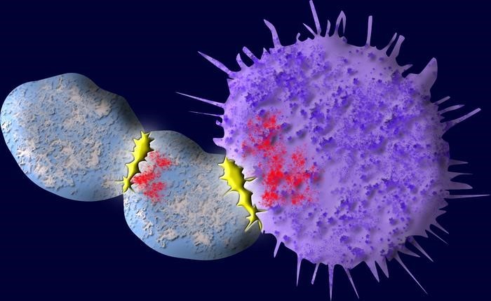 Taming the T Cells: A Revolutionary Step in Car T-Cell Therapy