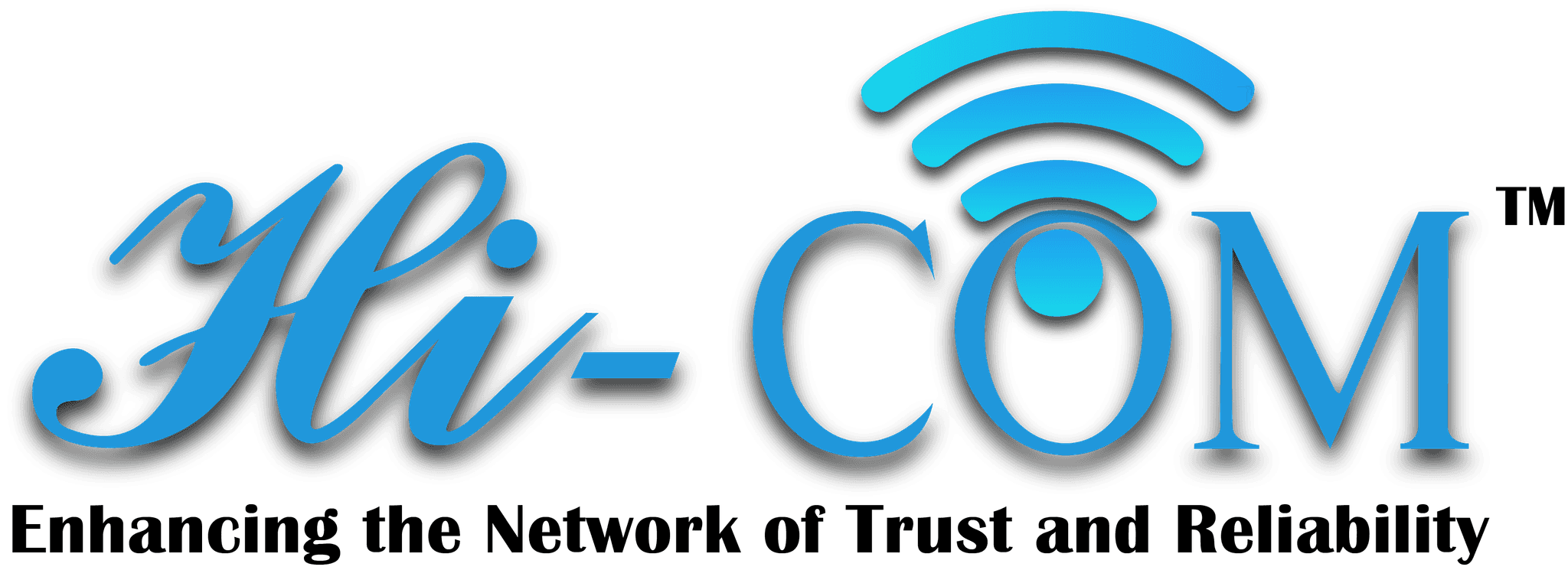 HiCom India Best Internet Lease Line