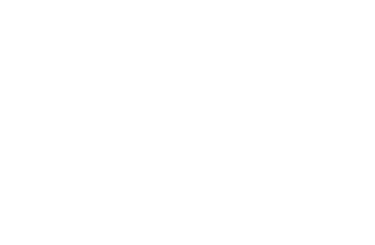 Champion Spirit