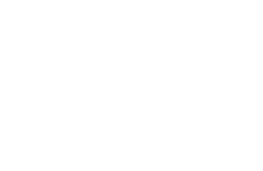 Champion Spirit