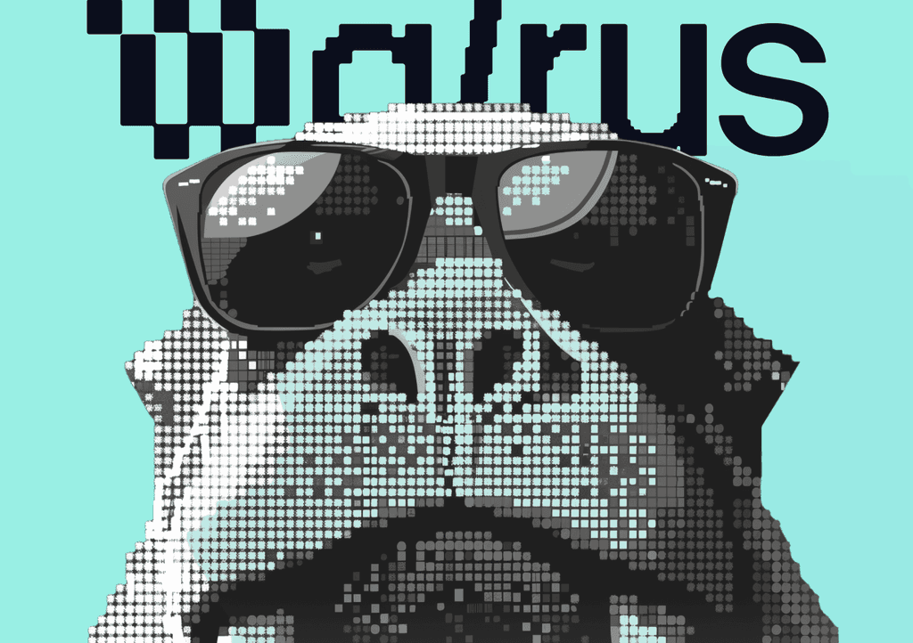 Announcing Walrus: A Decentralized Storage and Data Availability Protocol - Mysten Labs Blog