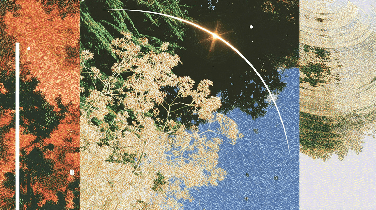 Perplexity Changelog