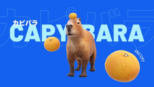 Capybara Anatomy Template - D Story