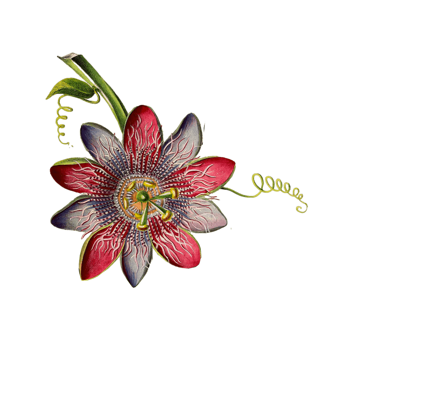 Data Platforms for Engineering Biologics