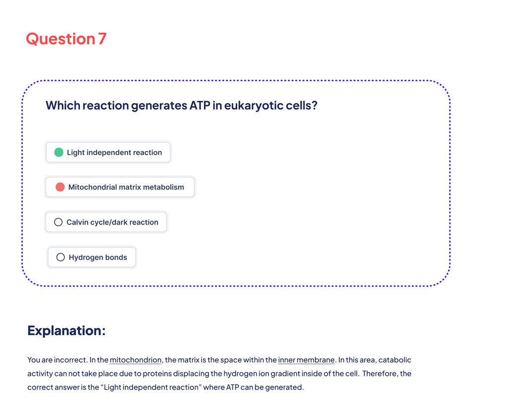 Studywise | AI-powered Study Assistant