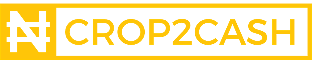 Five Two Five - Invest in the World