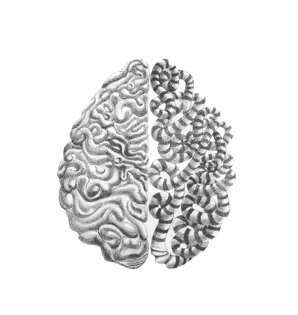 Huma | Longer, fuller lives