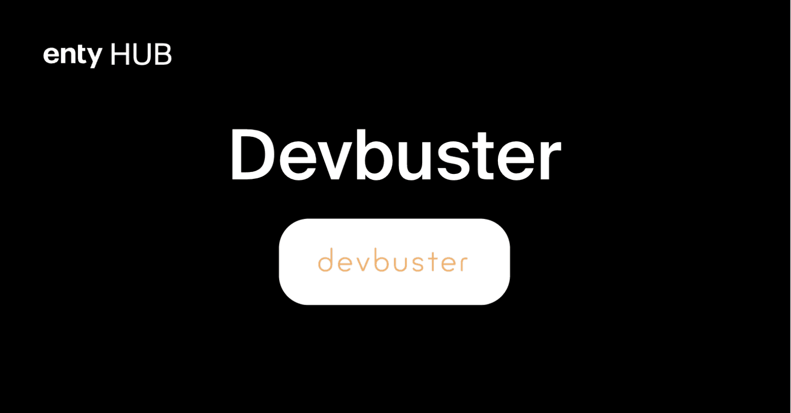 Devbuster | Enty HUB