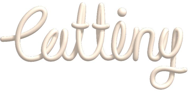 Catting - Meet Talking Cat