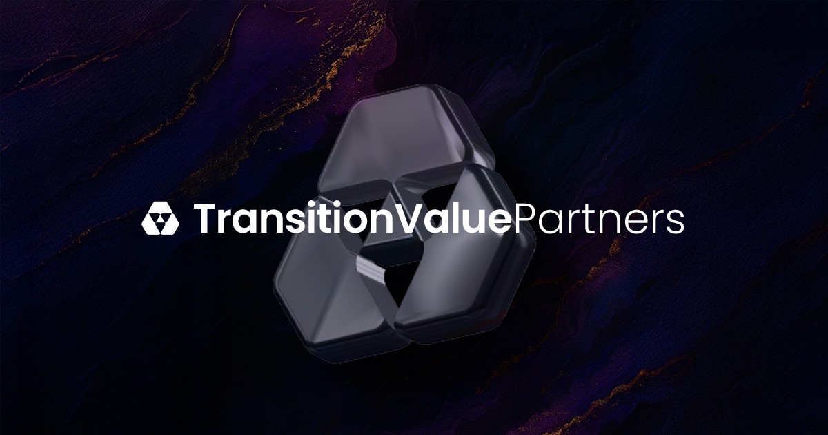 Strategy & Governance Advisors for Electrotech Leaders | Transition ...