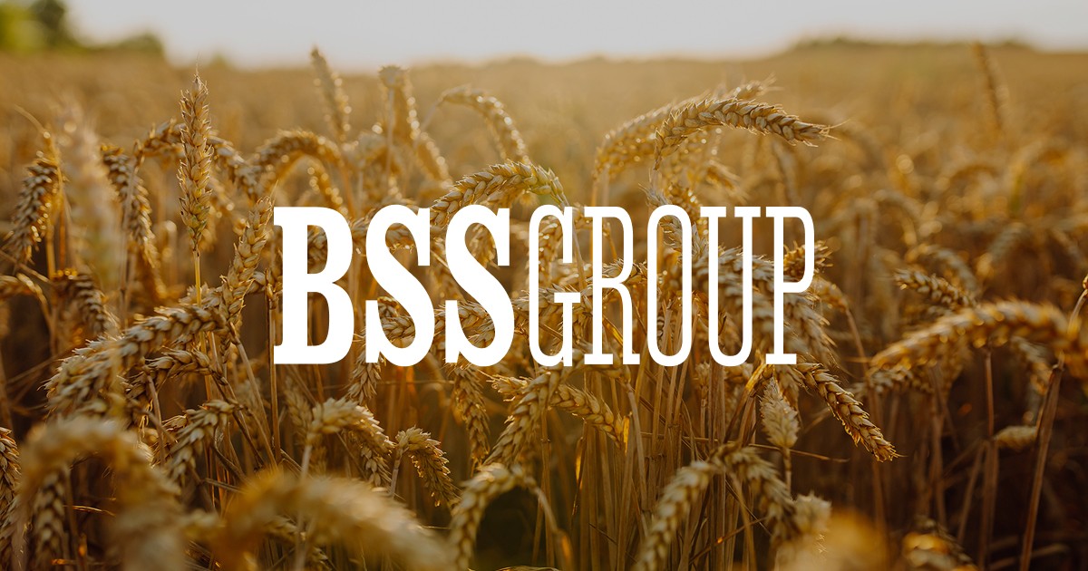 Independent surveying and inspection services – BSS Group