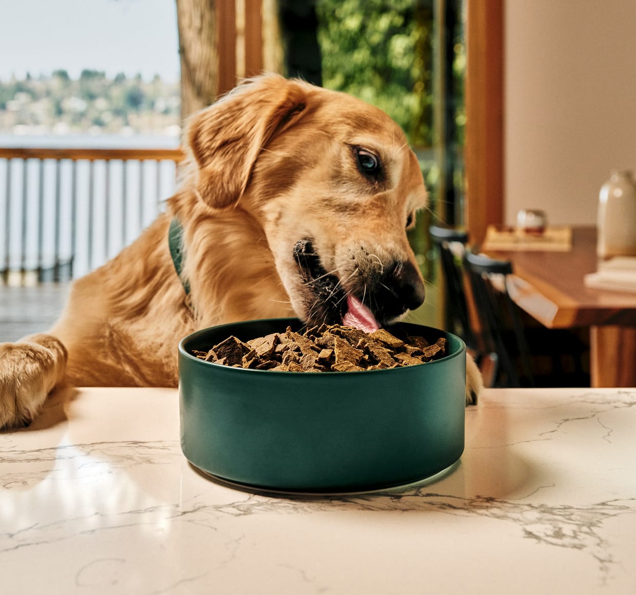 Sundays - Human-Grade Food for Dogs