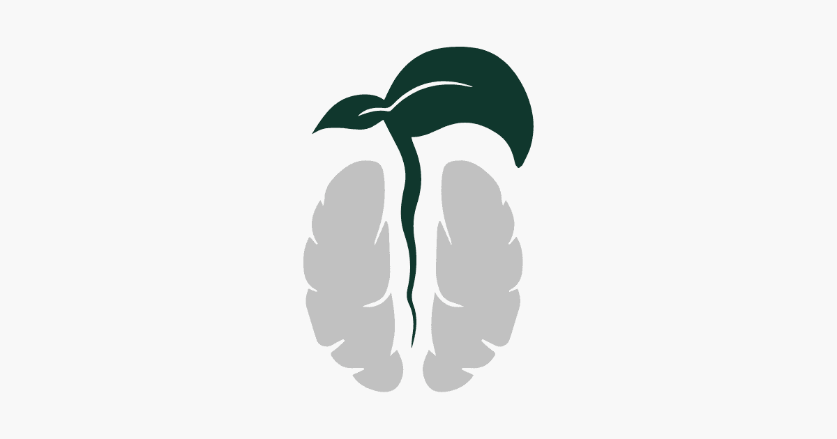 Brainseed Occupational Therapy