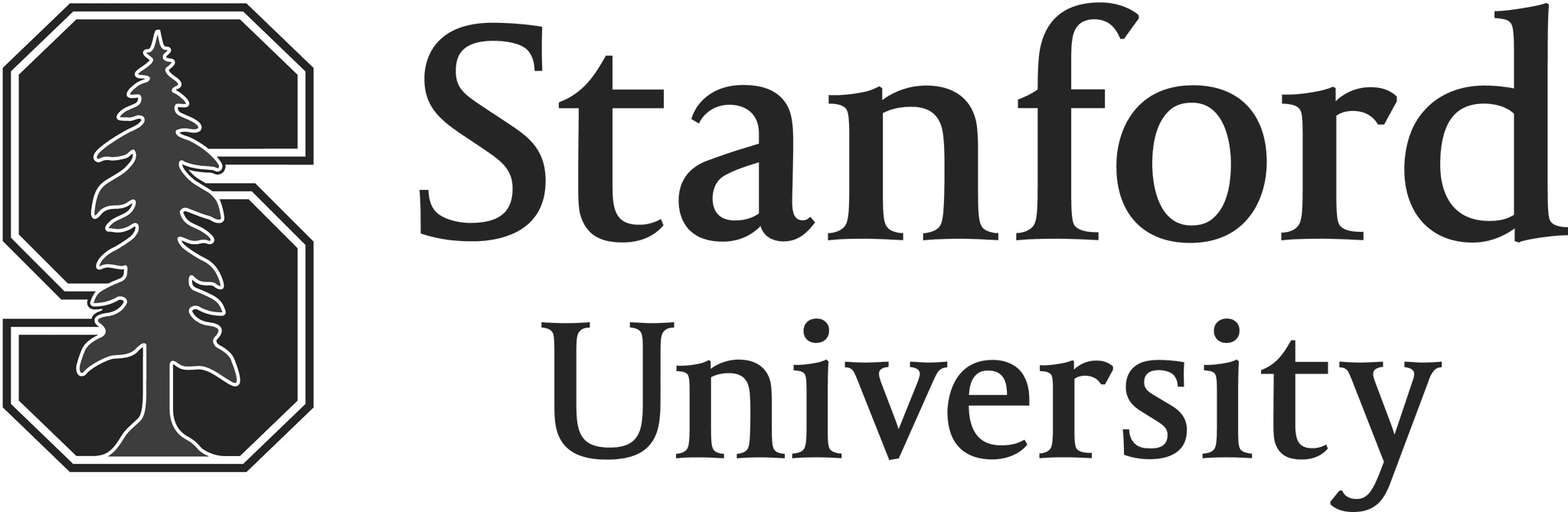 15 Best Scholarly Sources Examples of 2024 You Should Know | JotBot AI