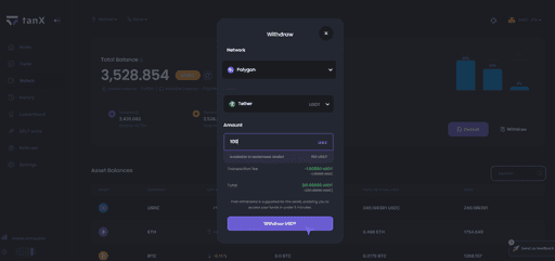 Bridge to Polygon Network: Step-by-Step Guide