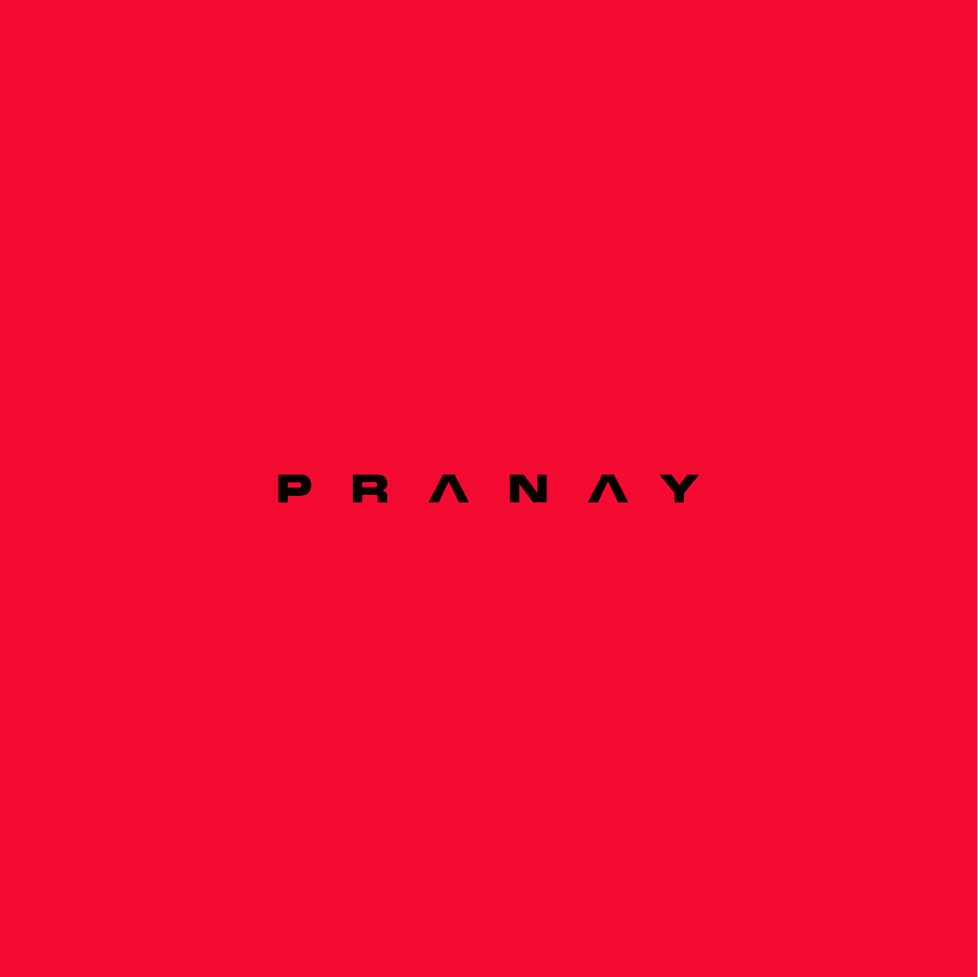 Pranay's Portolio