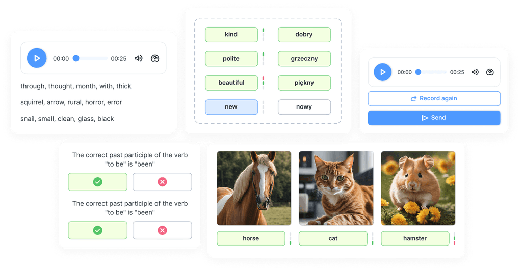 Interactive Platform for Language Teaching | edio