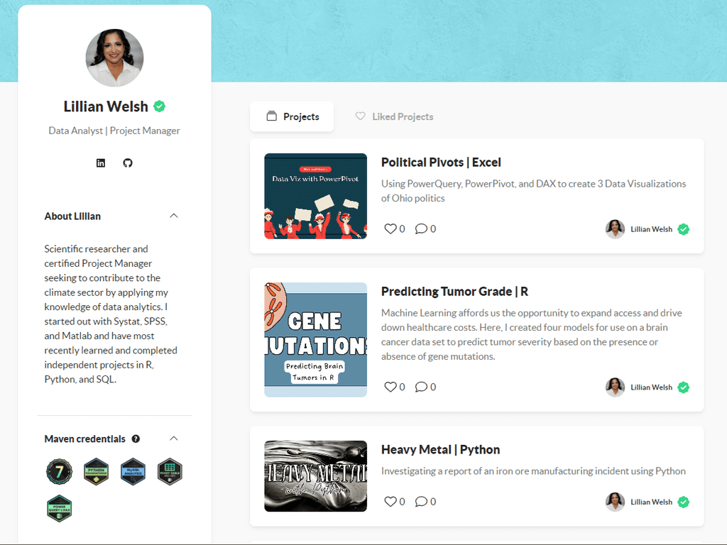 Analysts You Can Hire: Spring 2024 | Maven Analytics