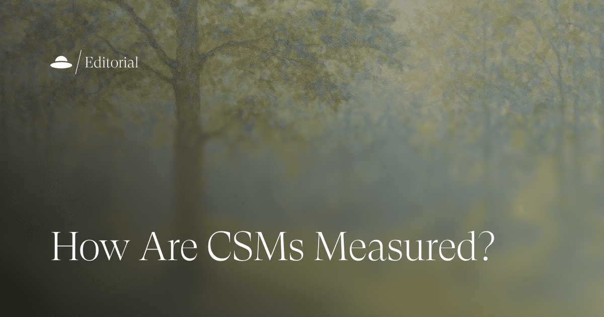 How Are Csms Measured Planhat