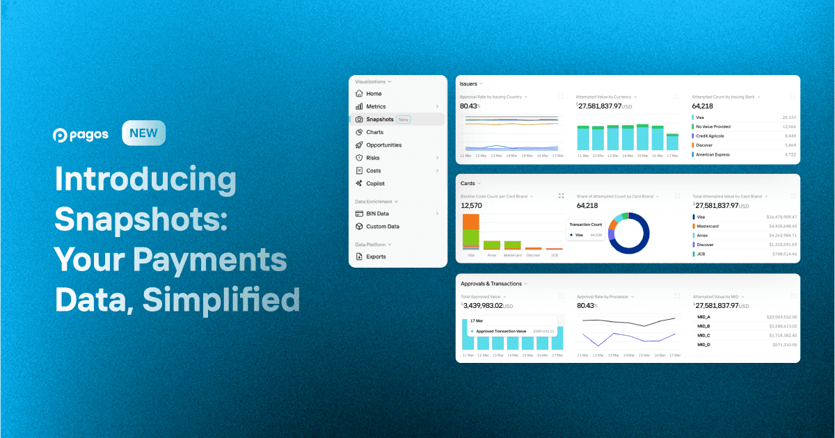 Introducing Snapshots: Your Payments Data, Simplified | Pagos Blog