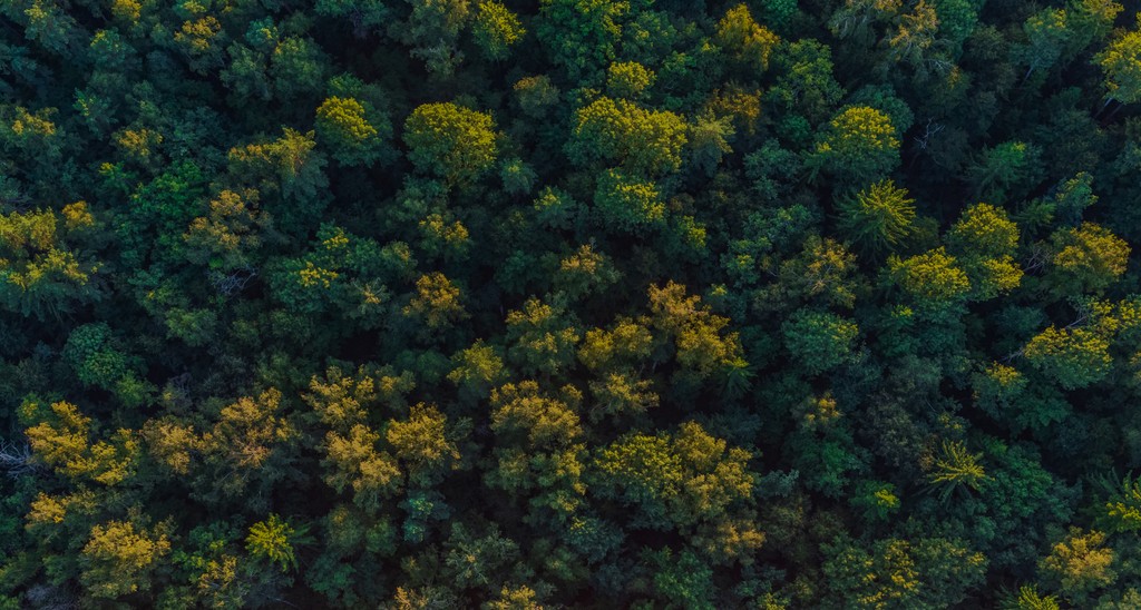 Automech Group | Engineering & Solution Fabrication Company UAE