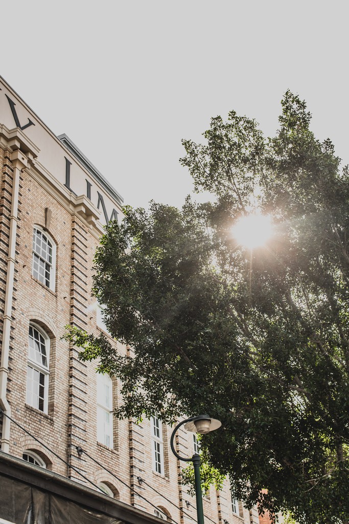 ZERO FOX | bar & korean kitchen