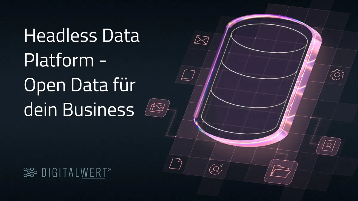 磊 Headless Data Platform - Open Data für dein Business | Digitalwert®