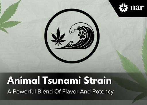 Animal Tsunami Strain: A Powerful Blend Of Flavor And Potency