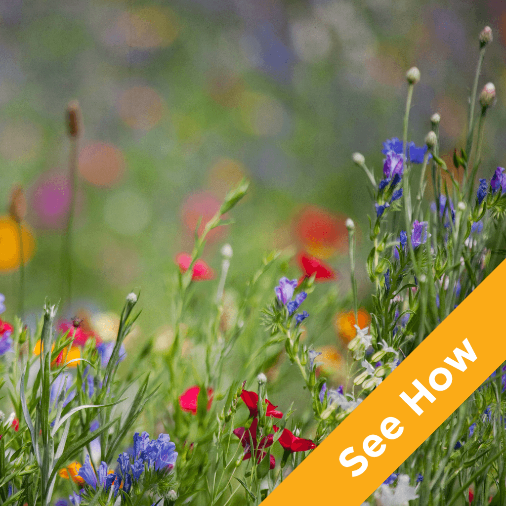 Join MyFarm Analytics