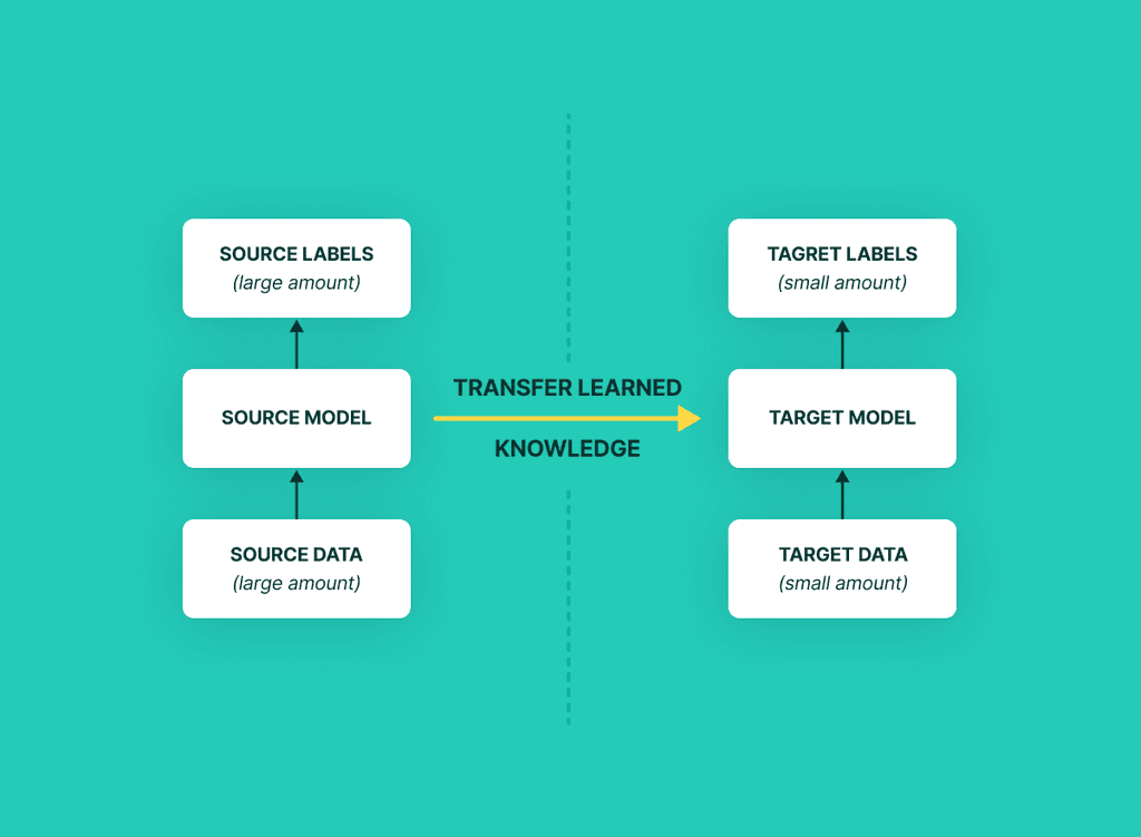 What Is Transfer Learning? [Examples & Newbie-Friendly Guide]