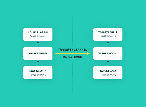 What Is Transfer Learning? [Examples & Newbie-Friendly Guide]