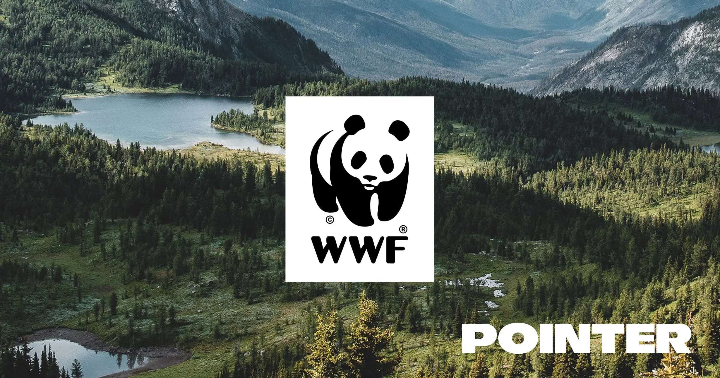 WWF | POINTER