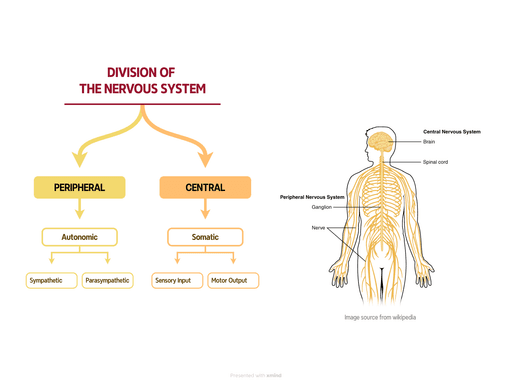 Understand Visual Learning Style: Definition and How It Helps