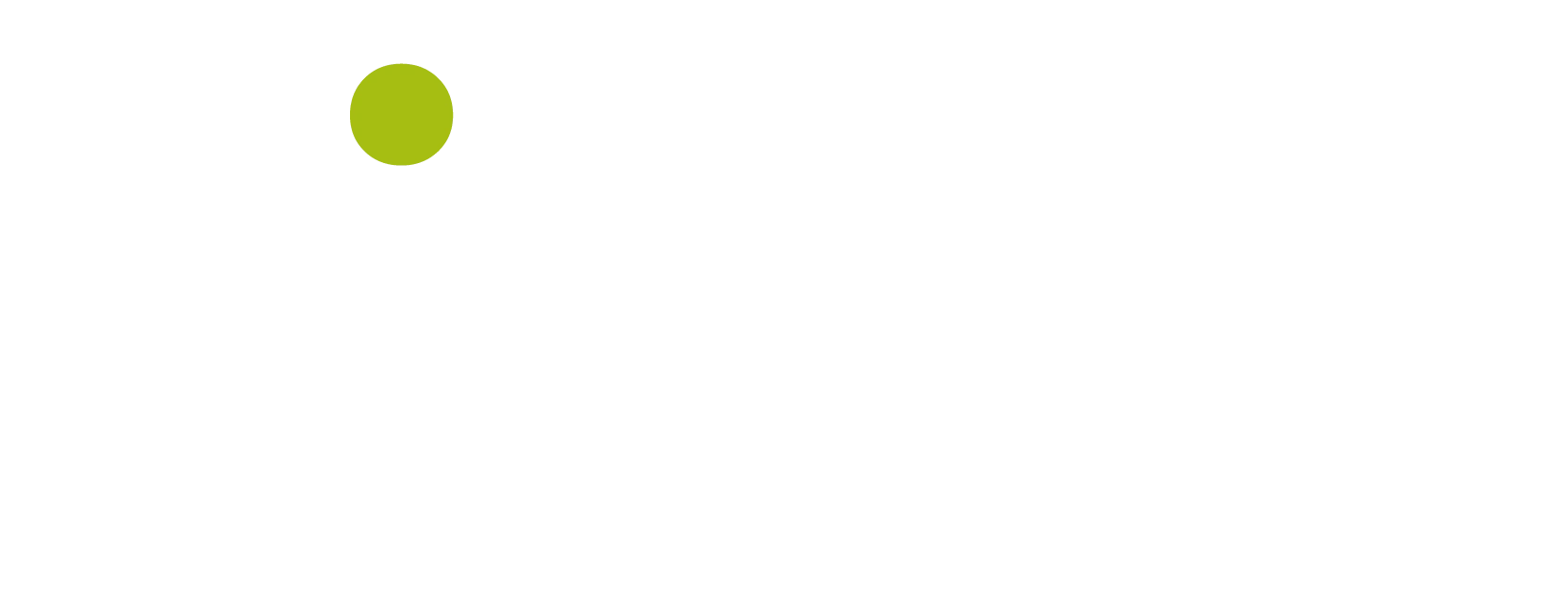 BiSoft – Enterprise Data Solutions and Software Services