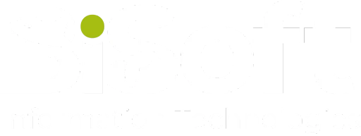 BiSoft – Enterprise Data Solutions and Software Services