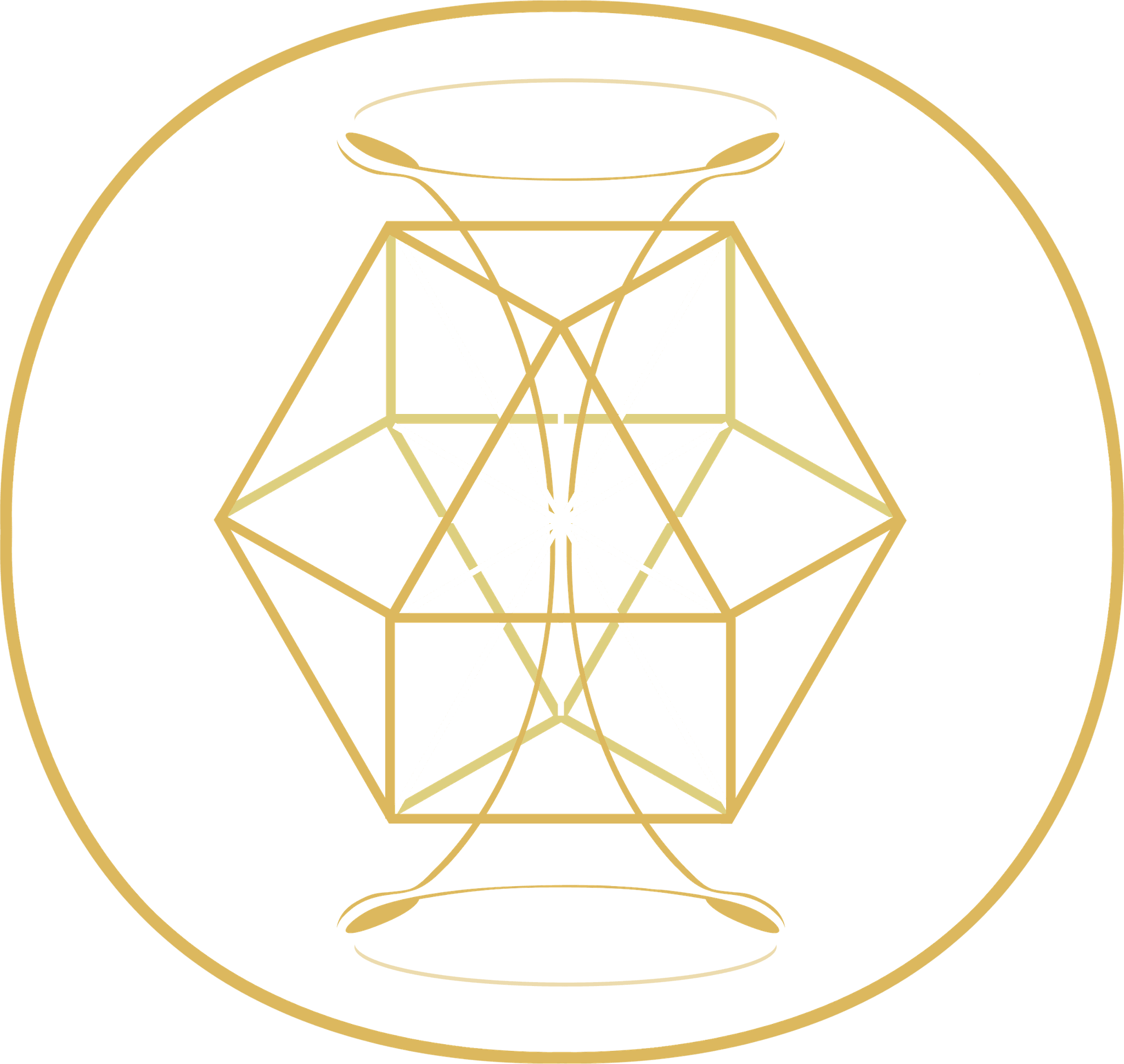 Forbidden Truth Academy