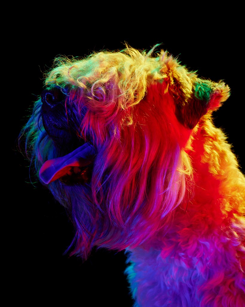 Paul Octavious / Commercial Photogrpaher & Creative Director