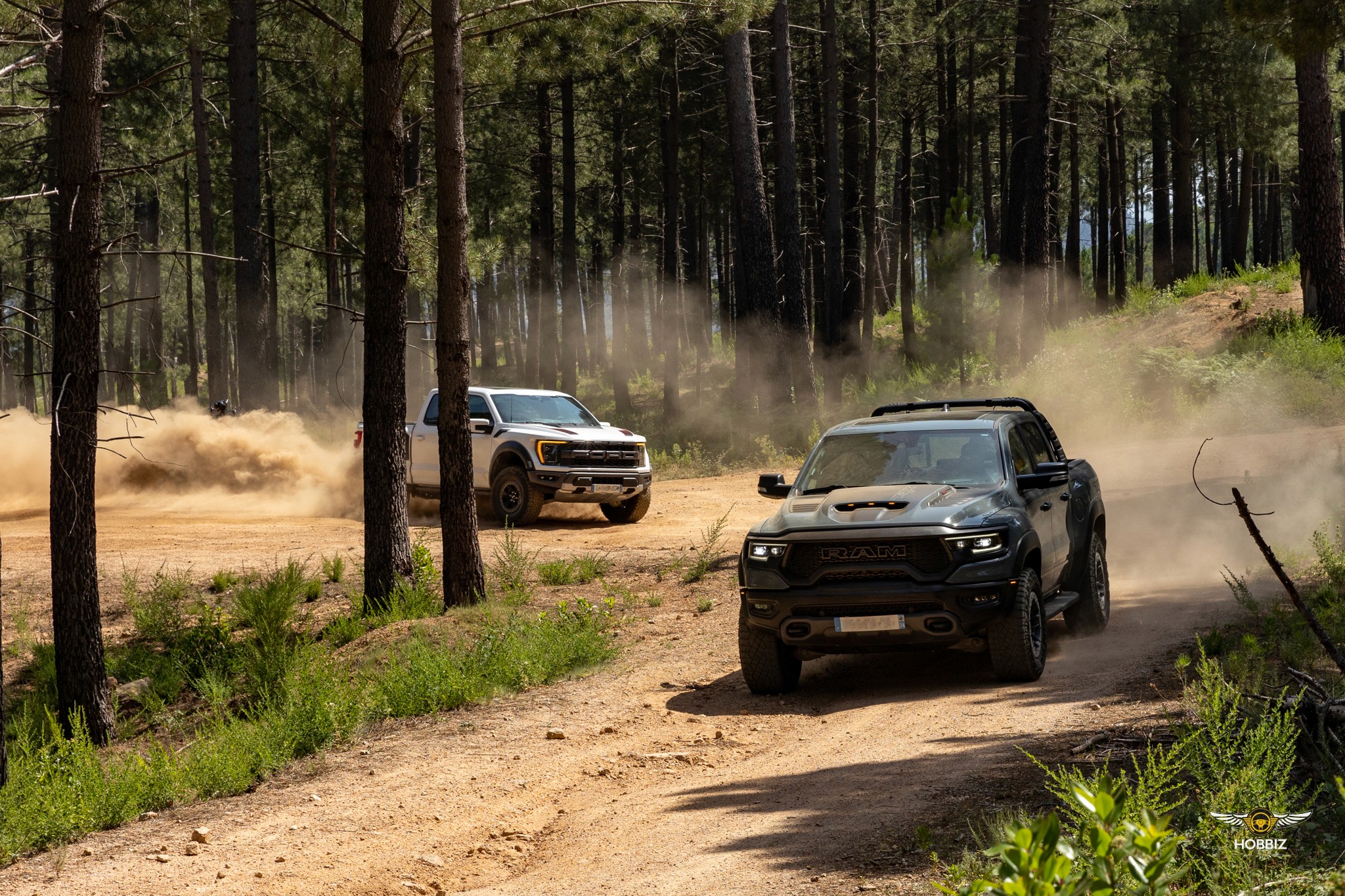 Découvrez nos annonces de Pick-up Américains vendu en France