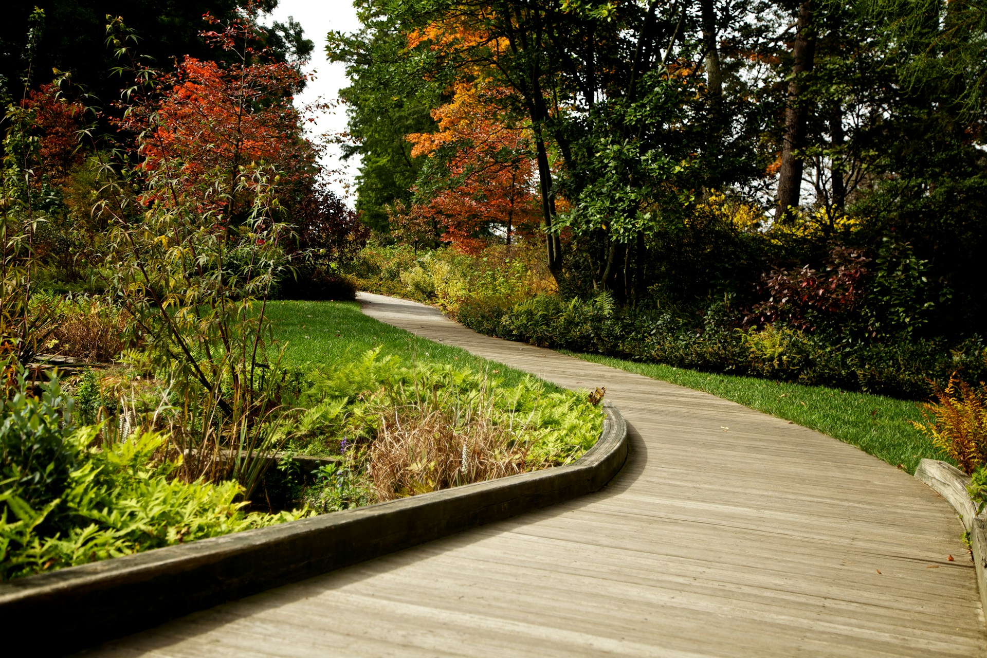 Oddworks Design Studio | Outdoor and Landscape Design