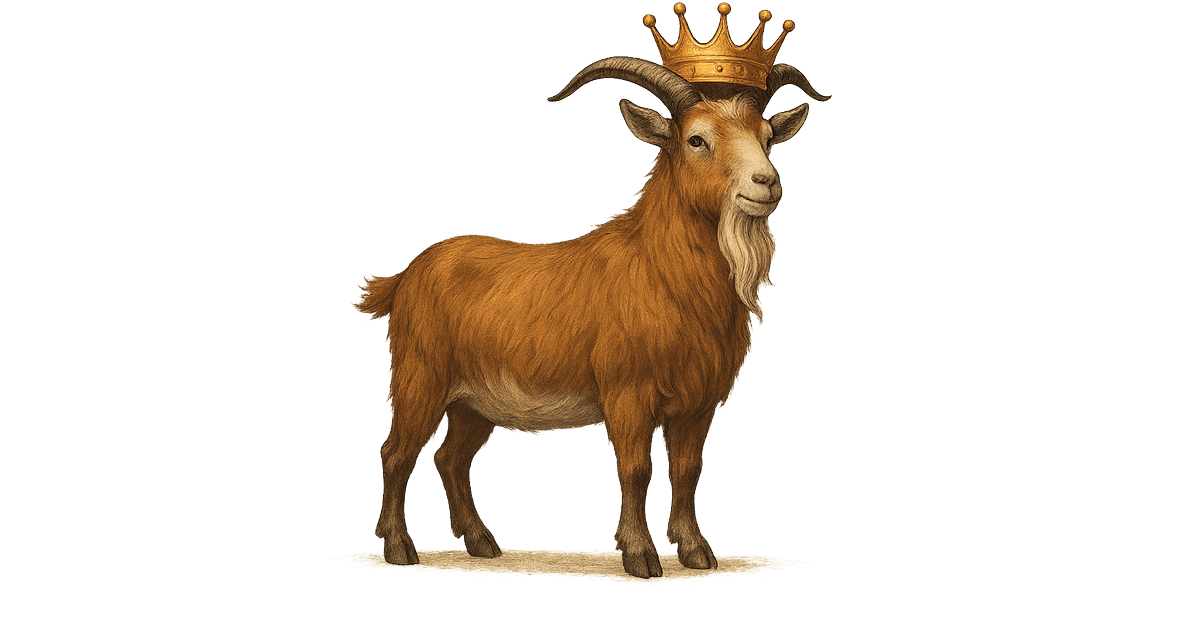 Your High Conflict Parenting Plan Checklist (2025 Edition) - My Framer Site