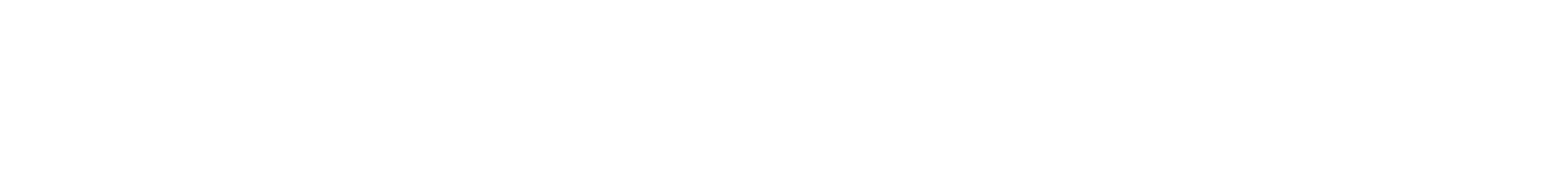 netorium AG – Kompetenzcenter und Technologiescout für die Medienindustrie